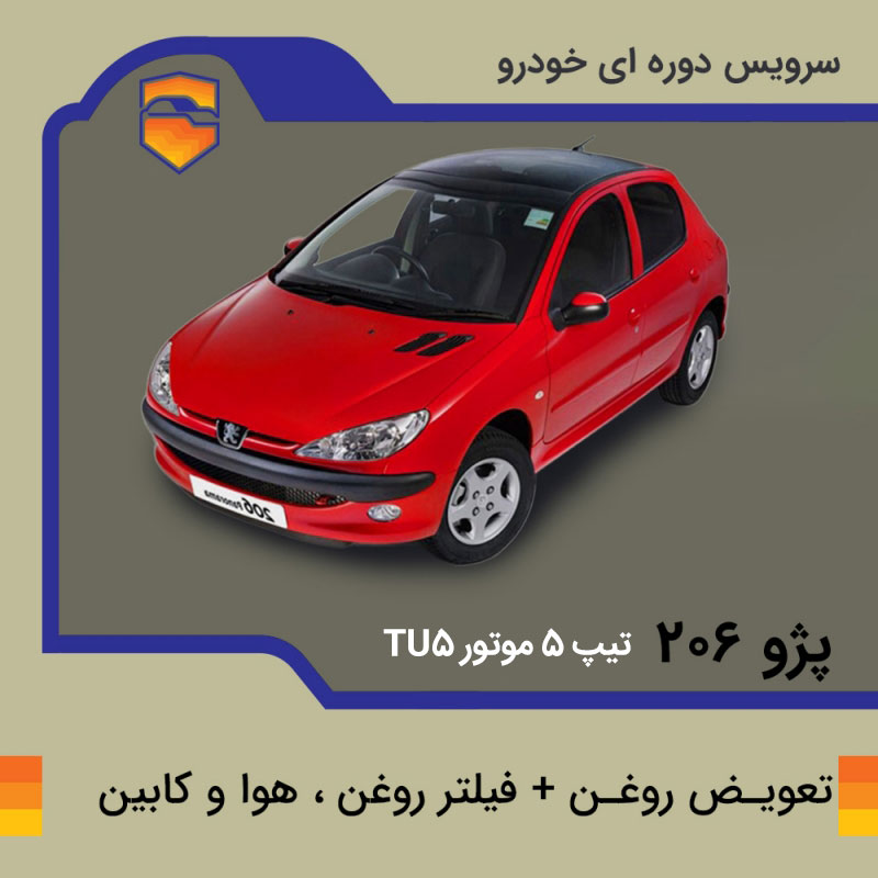 تعویض روغن، فیلتر روغن، هوا و کابین پژو 206 تیپ 5 موتور TU5 در تهران - تام کلین